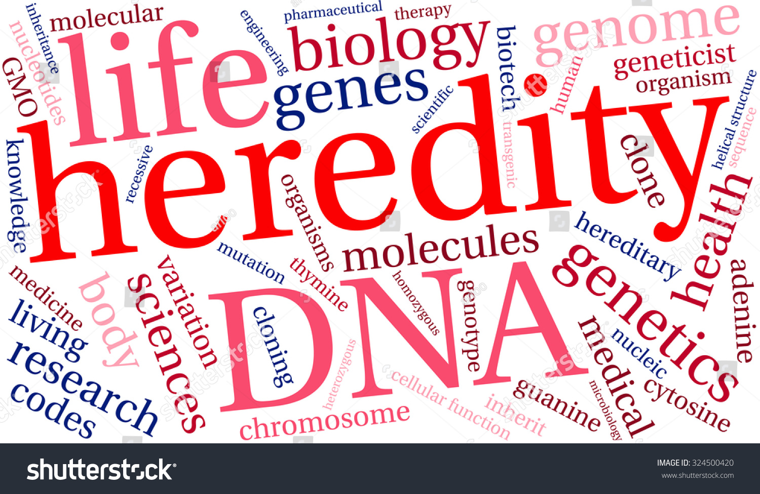 Heredity Word Cloud On White Background Stock Vector (Royalty Free ...