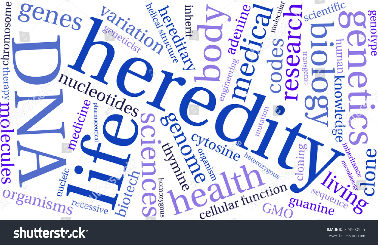 Heredity Word Cloud On White Background Stock Vector (Royalty Free ...
