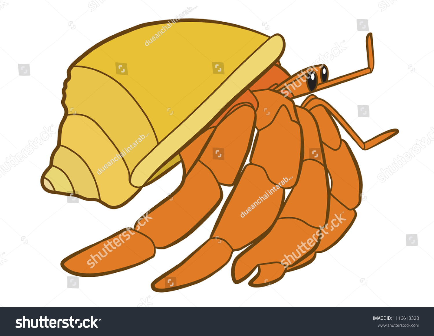 Hermit Crab Isolated Crab On White Stock Vector (Royalty Free ...
