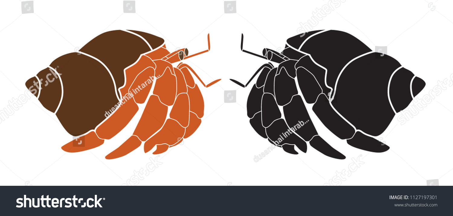 Hermit Crab Isolated Crab On White Stock Vector (Royalty Free ...