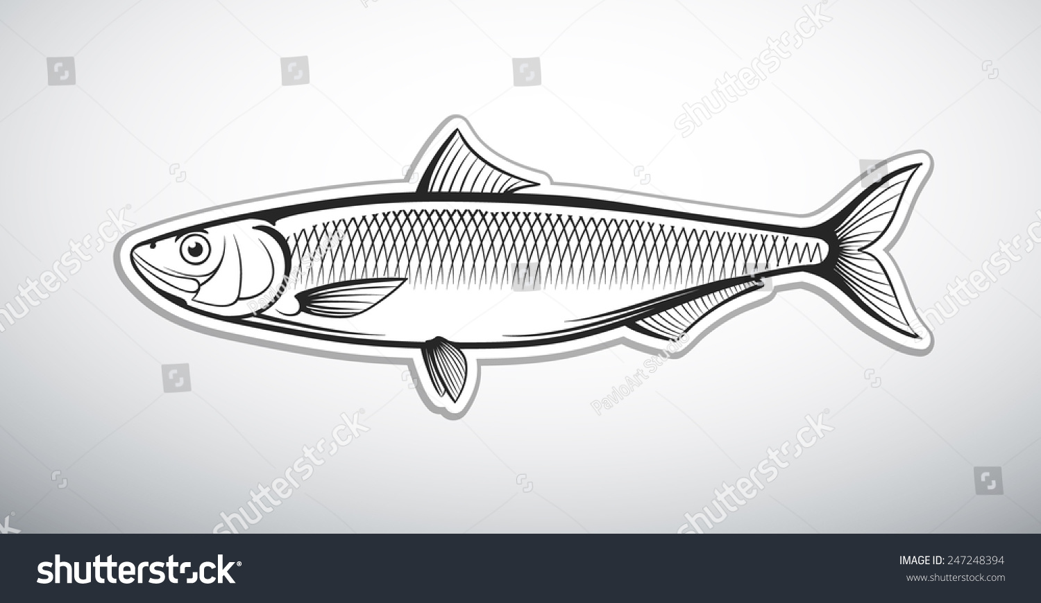 Herring Fish Outline Vector Illustration Stock Vector (Royalty Free ...