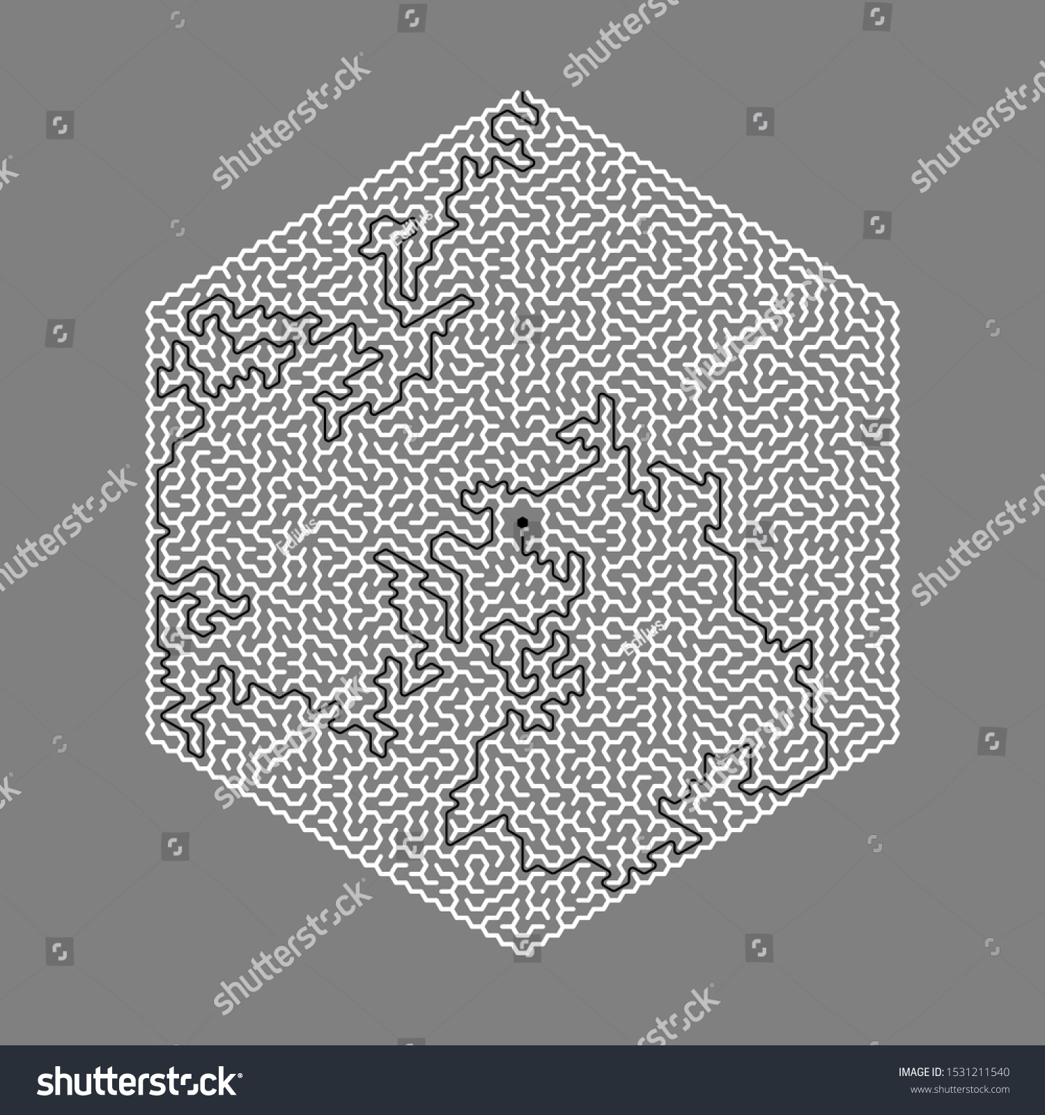 Hexagon Maze Solution Vector Illustration Stock Vector (Royalty Free ...