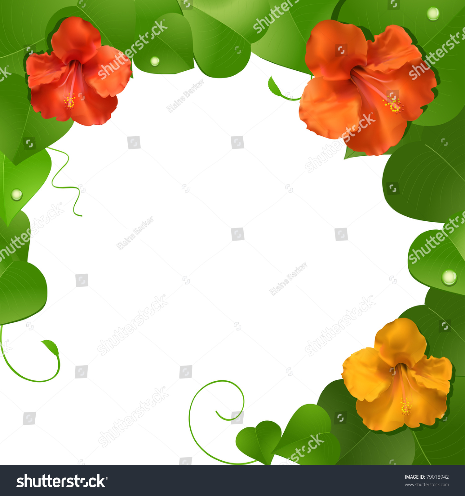 Hibiscus Flower Border Stock Vector (Royalty Free) 79018942 | Shutterstock