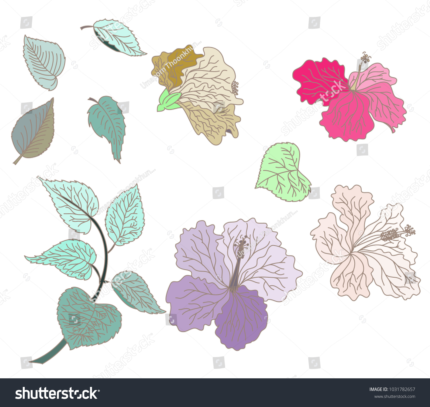 Hibiscus Flower Vector Set Stock Vector (Royalty Free) 1031782657