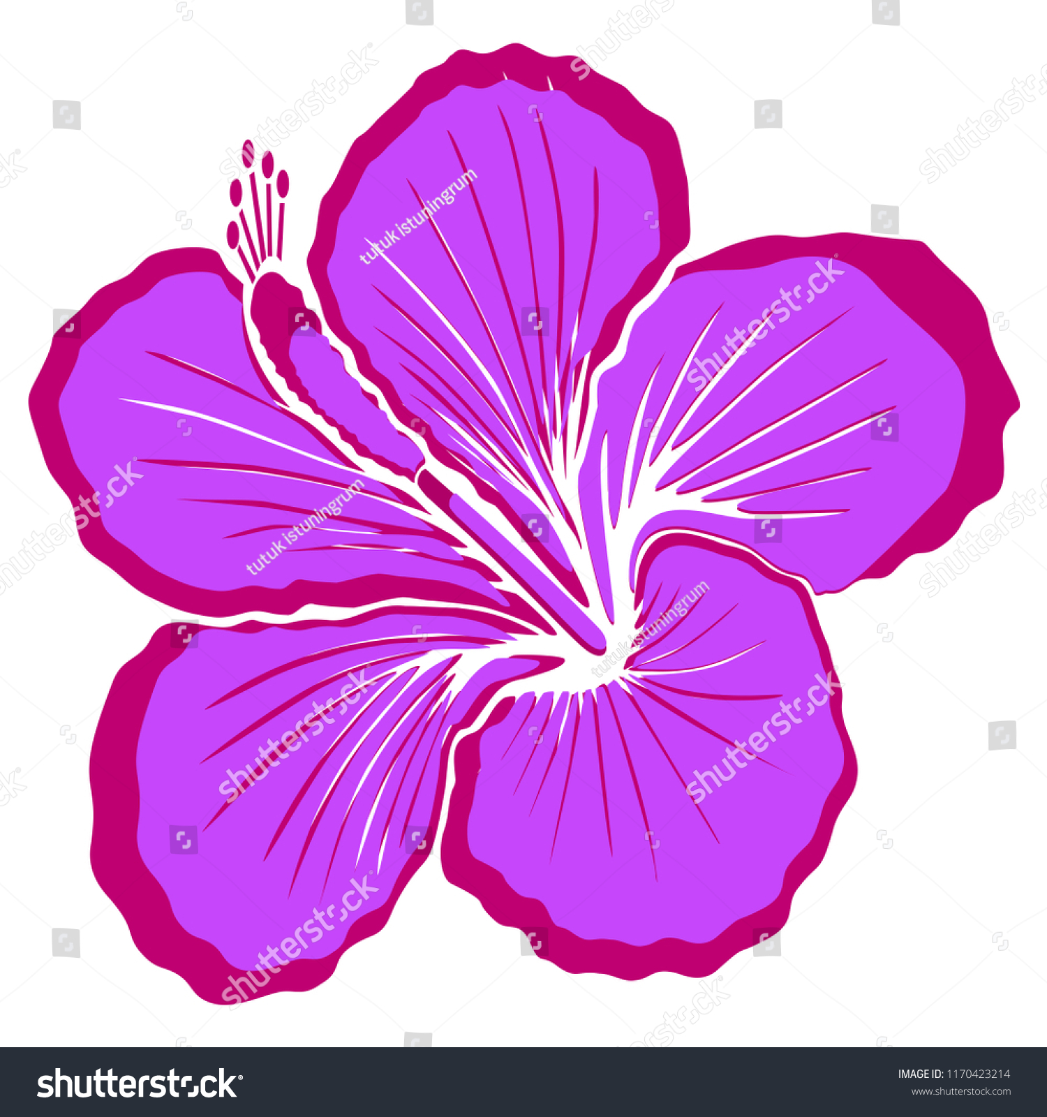 Hibiscus Flowers Vector Stock Vector (Royalty Free) 1170423214