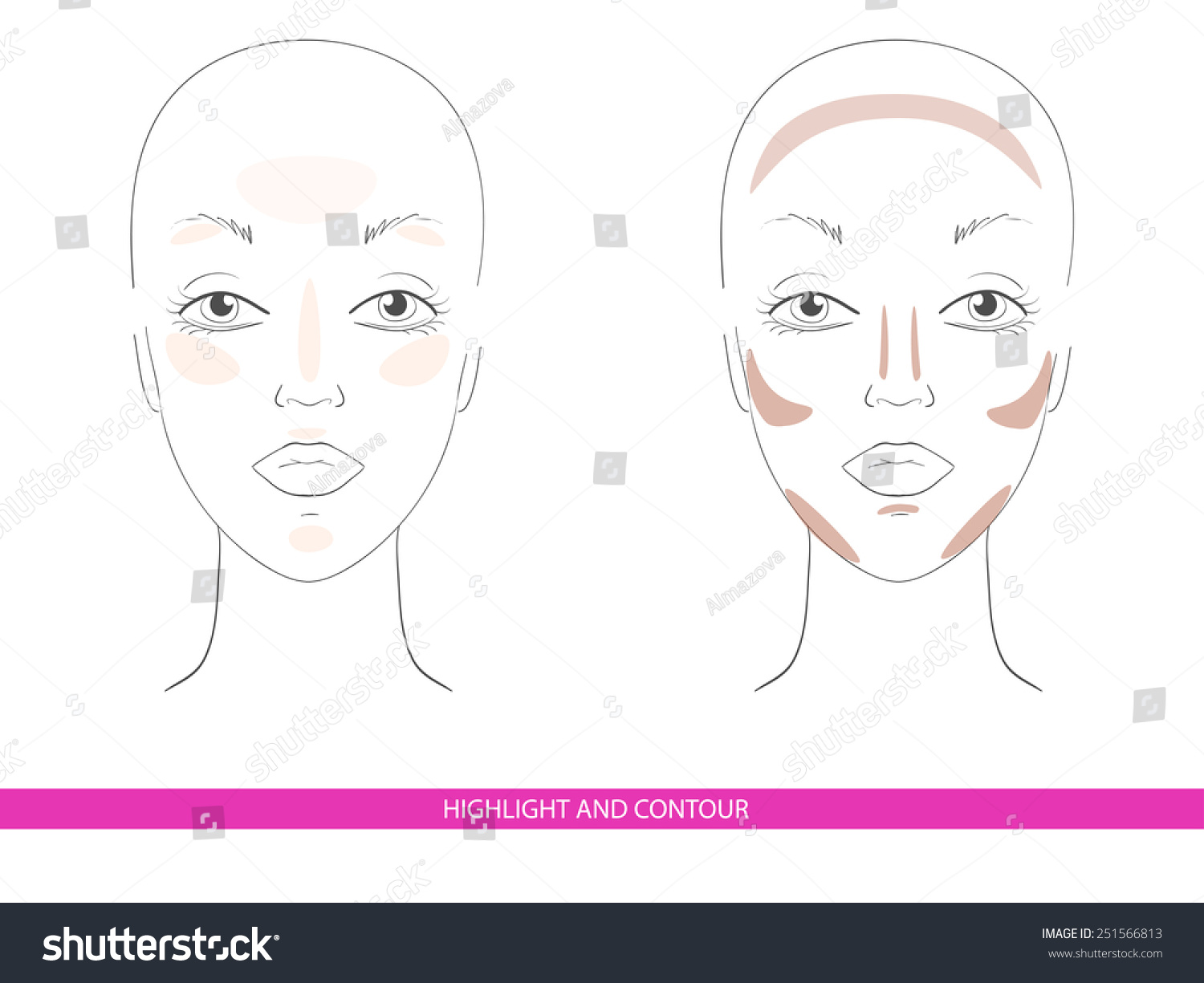 19.118 Contouring make face: immagini, foto stock e grafica vettoriale ...