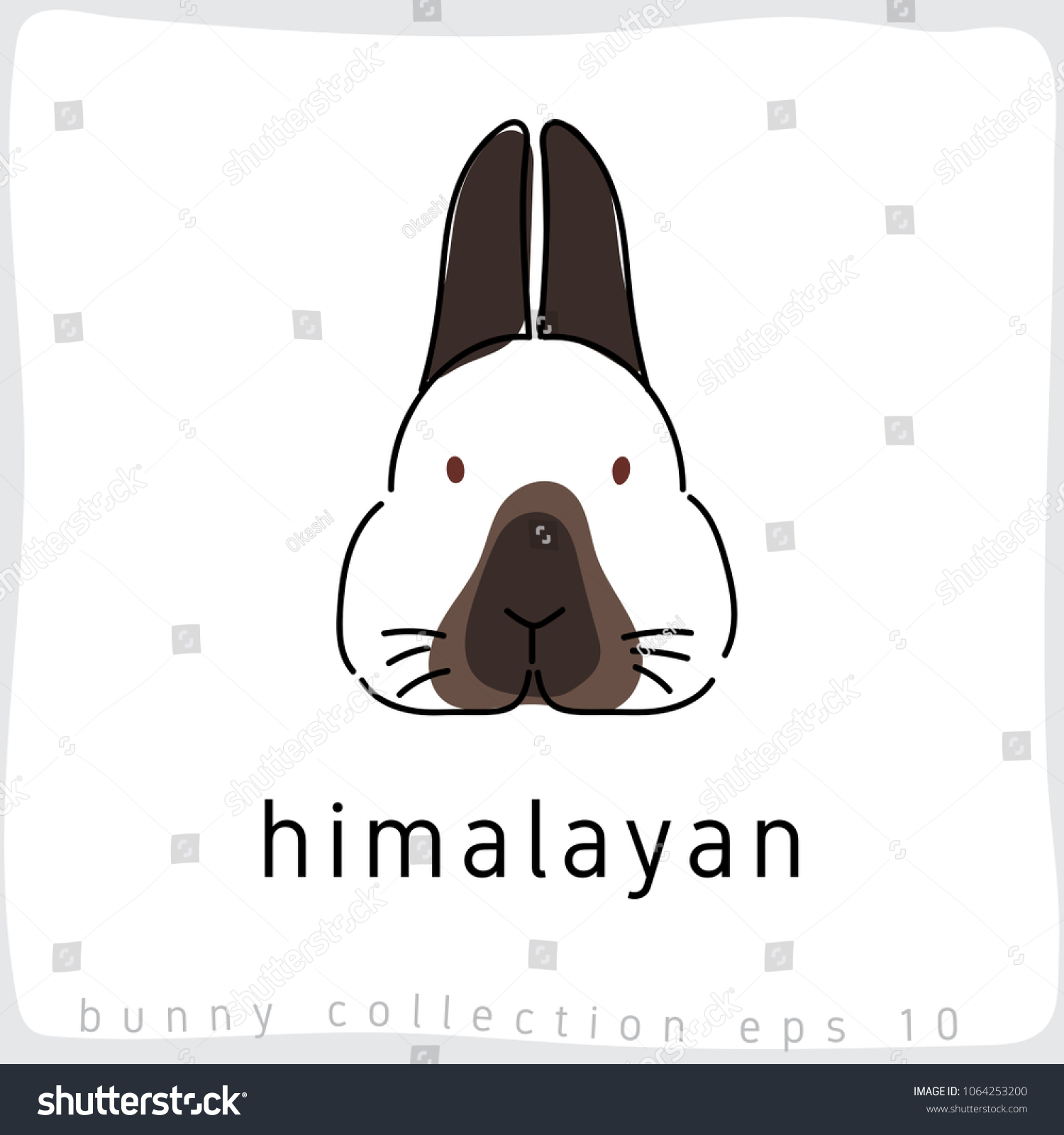 Himalayan Rabbit Breed Collection Vector Illustration Stock Vector ...