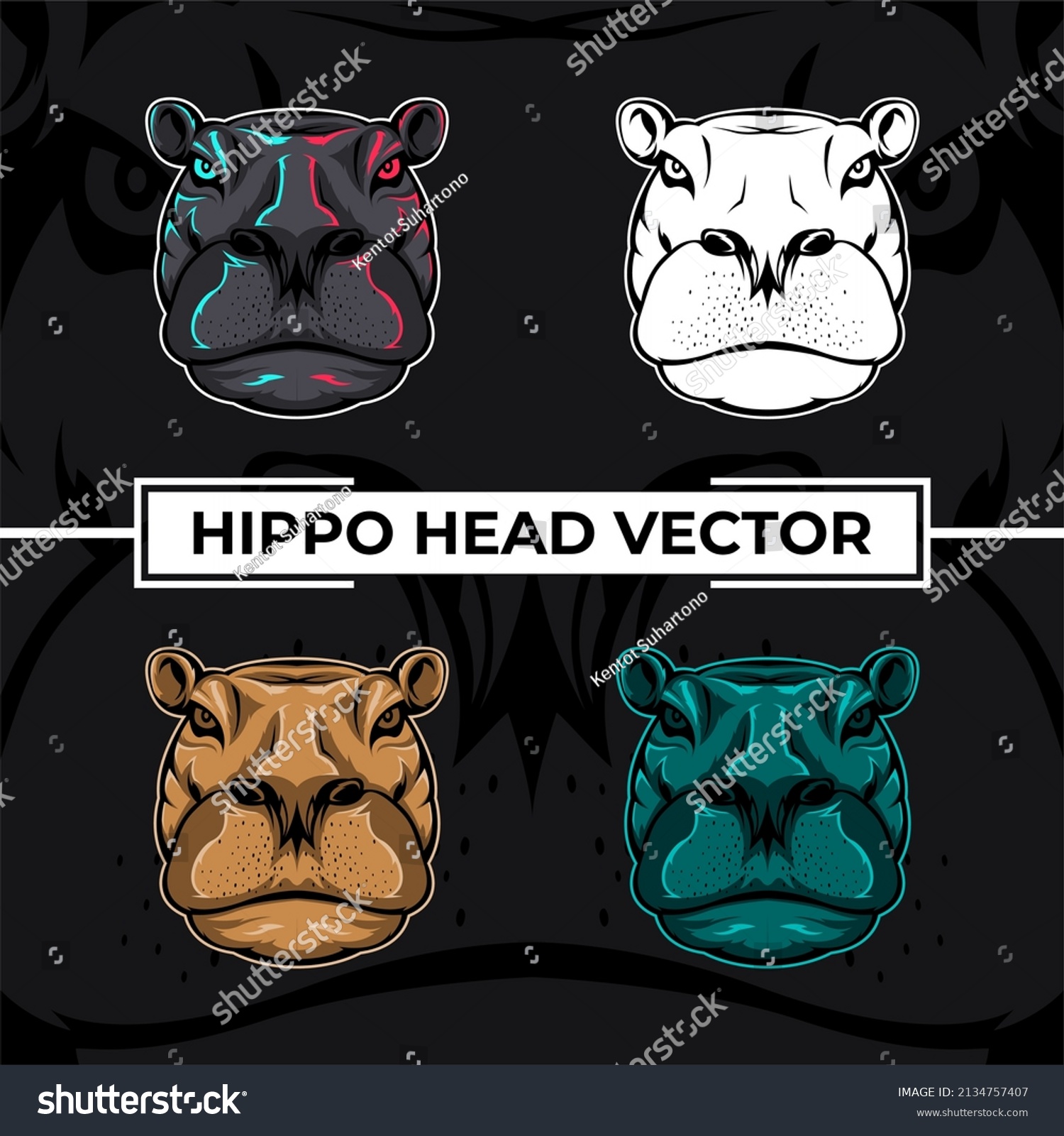 Hippo Head Close Vector Collection Stock Vector (Royalty Free ...
