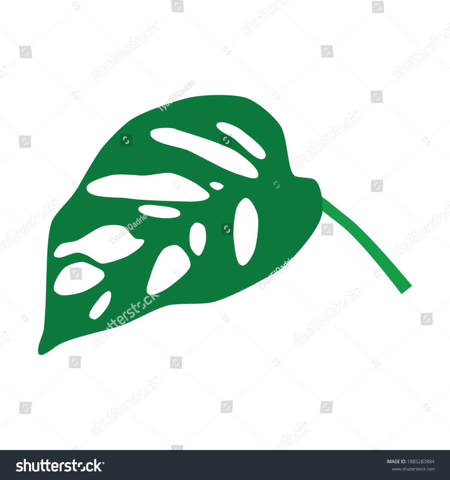 Hollow Leaf Vector Illustration White Background Stock Vector (Royalty ...