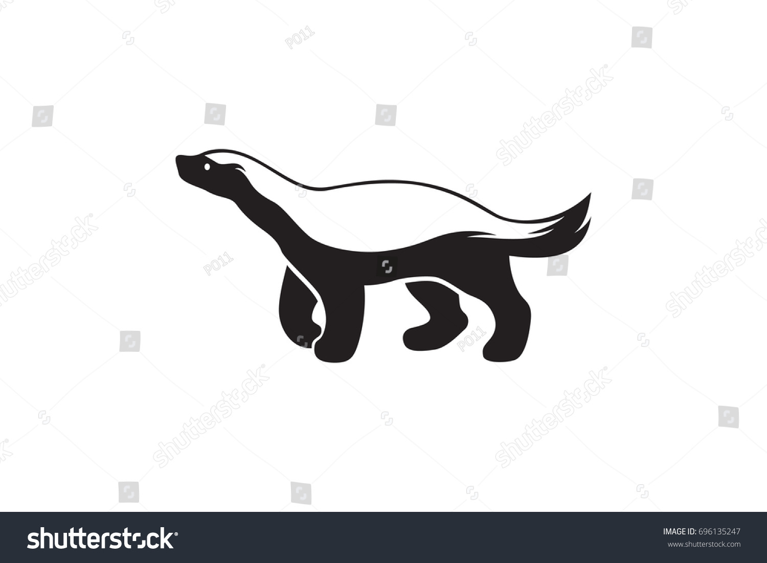 Honey Badger Walking Side View Stock Vector (Royalty Free) 696135247