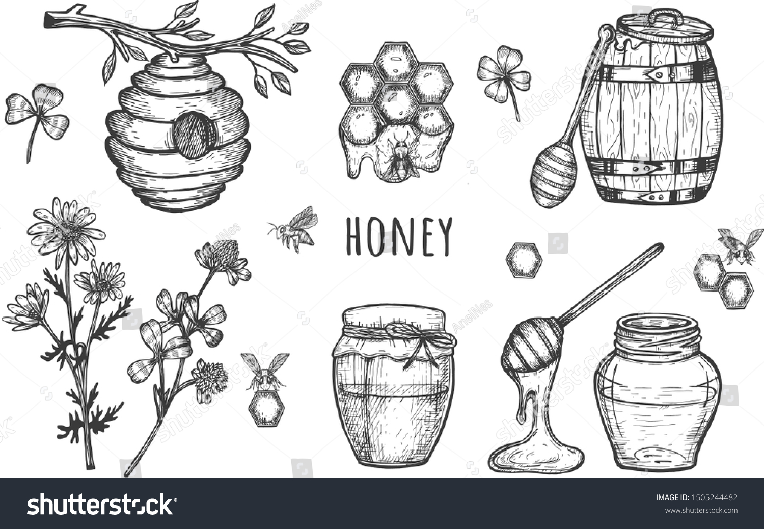 Honey Composition Vector Graphics Hand Drawing Stock Vector (Royalty ...