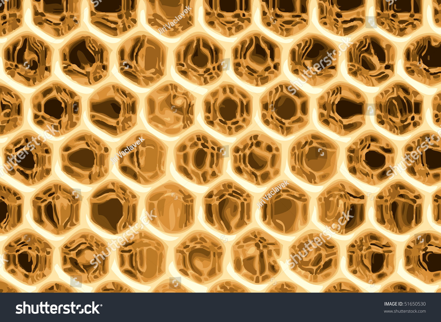 Honey Texture Stock Vector (Royalty Free) 51650530