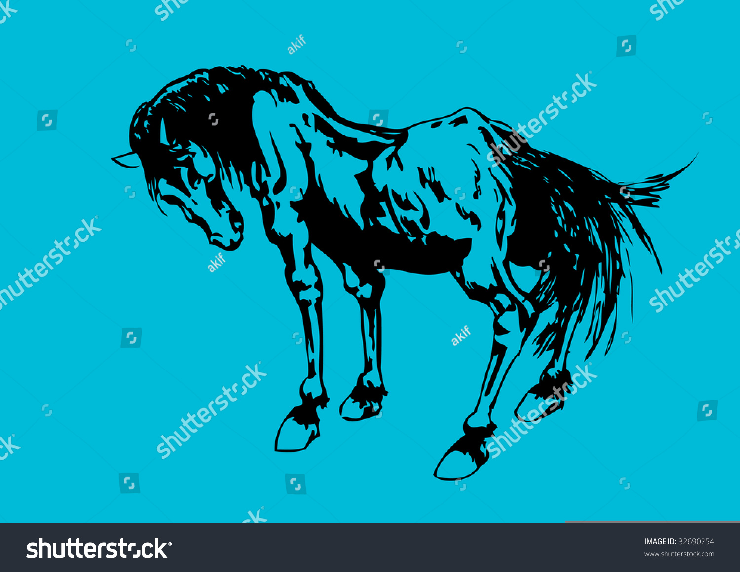 Marvelous Horse Vector Photographs