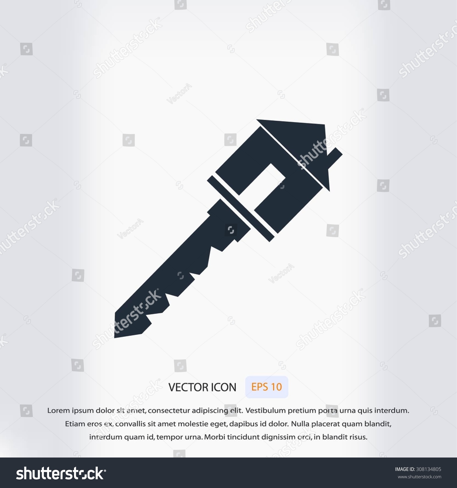 House Keys Icon Stock Vector (Royalty Free) 308134805 | Shutterstock