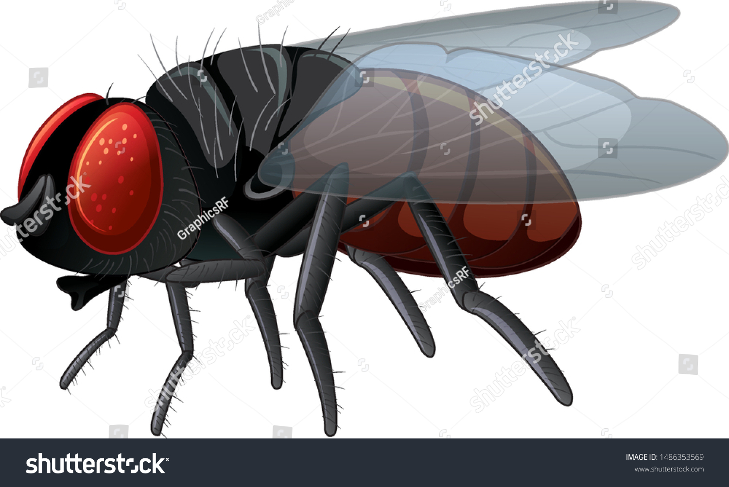 Housefly On White Background Illustration Stock Vector (Royalty Free ... Housefly On White Background Illustration Stock Vector (Royalty Free ...