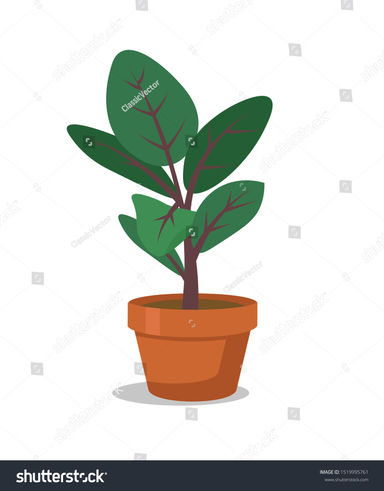 Houseplant Flat Vector Illustration Potted Plant Vector De Stock