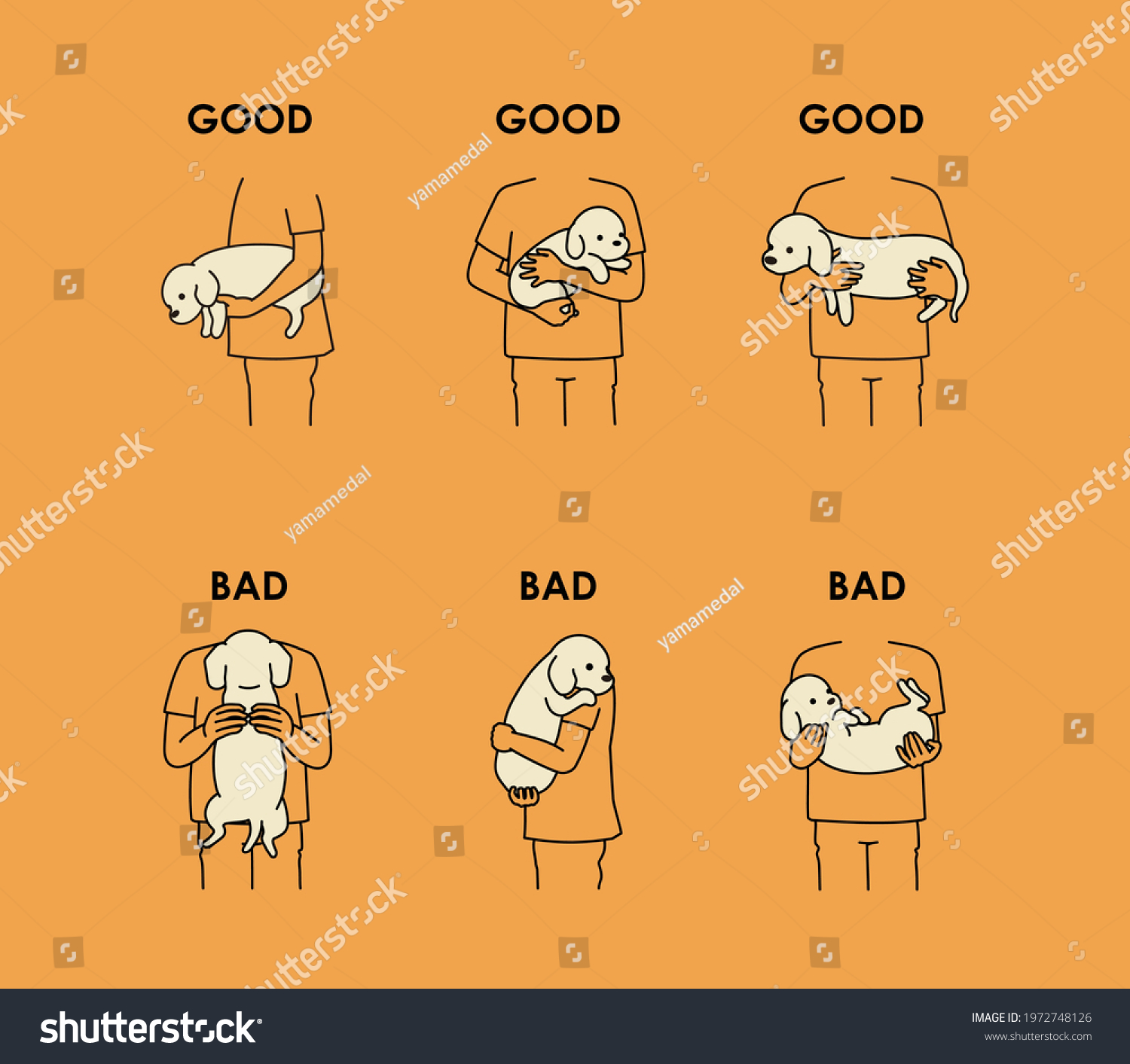 How Hold Dog Right Wrong Stock Vector (Royalty Free) 1972748126 ... How Hold Dog Right Wrong Stock Vector (Royalty Free) 1972748126 ...