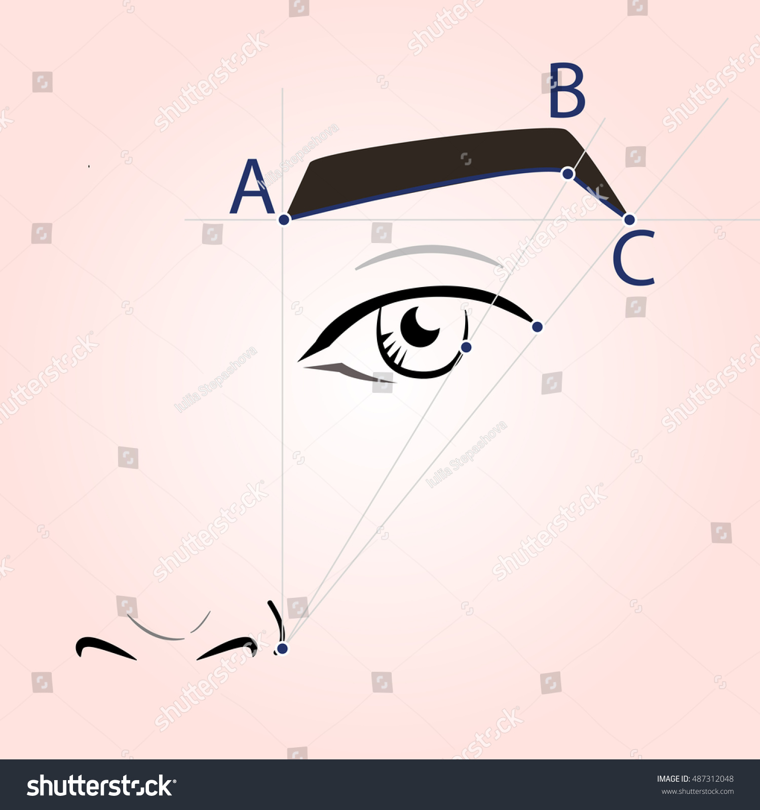 How Paint Eyebrows Vector Trendy Makeup: เวกเตอร์สต็อก (ปลอดค่า ...