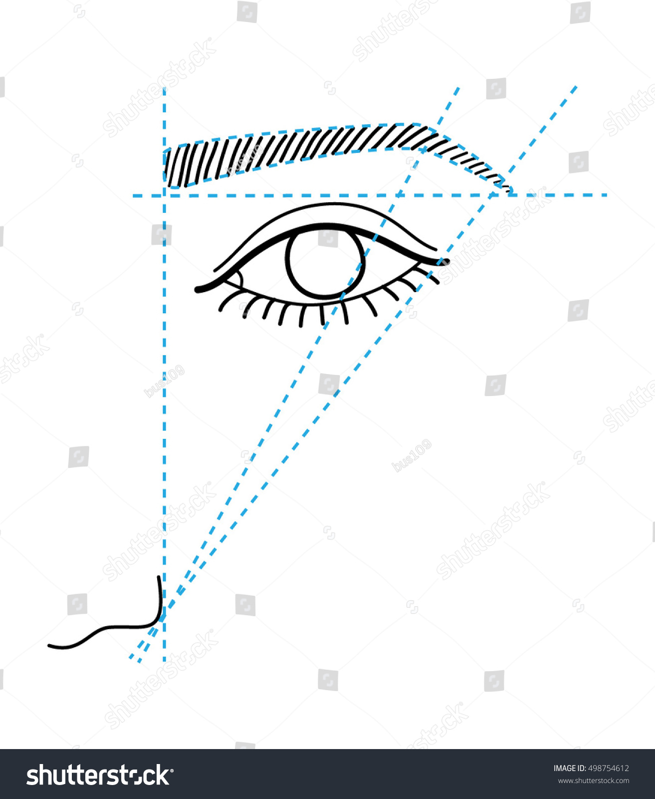 How Shape Brows Vector Illustration Stock Vector (Royalty Free) 498754612