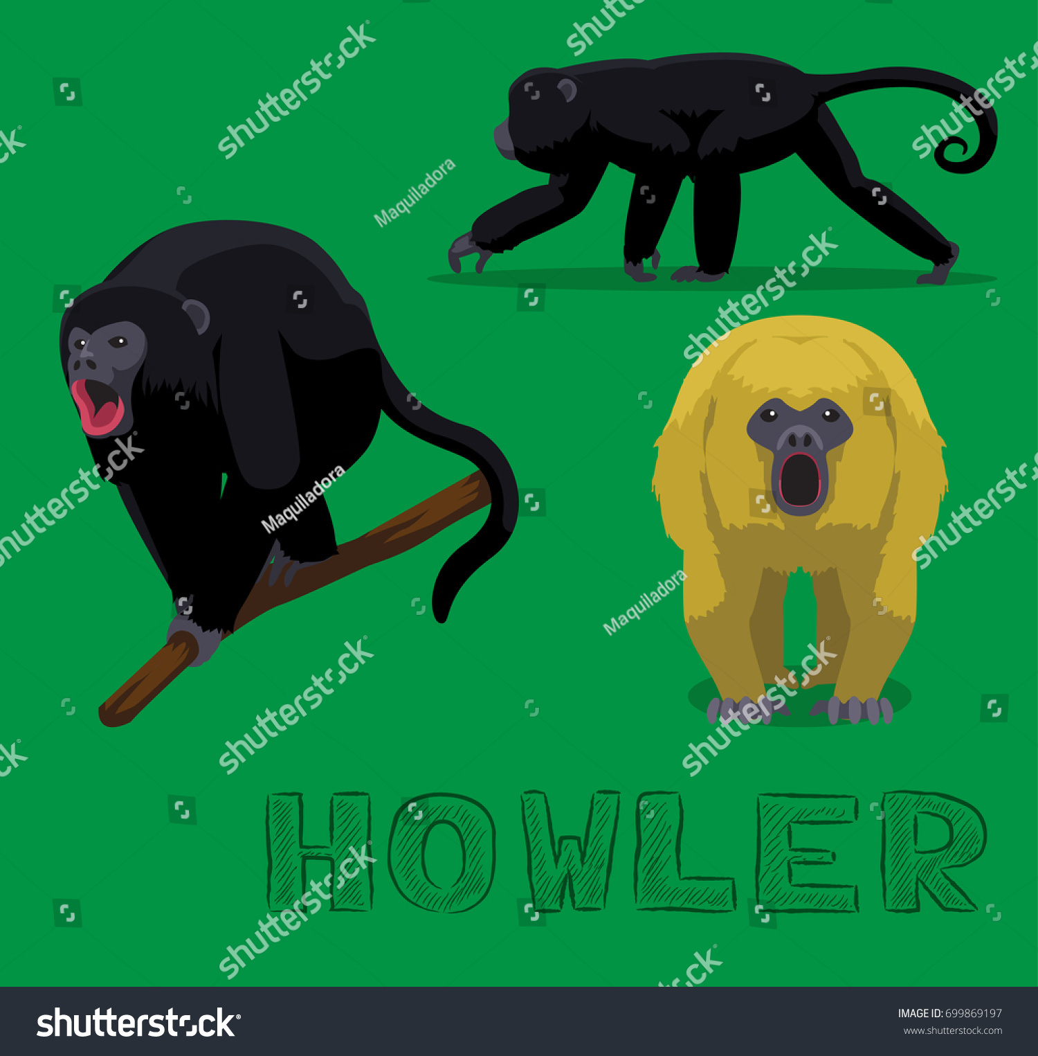 166 Howler monkey Stock Illustrations, Images & Vectors | Shutterstock