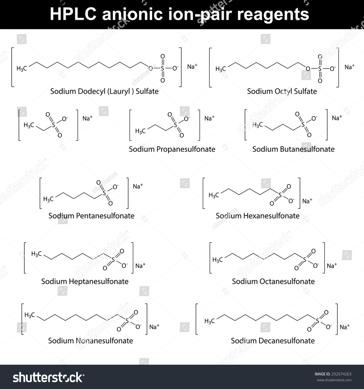 Hplc Anionic Ion Pair Reagents Structural: เวกเตอร์สต็อก (ปลอดค่า ...
