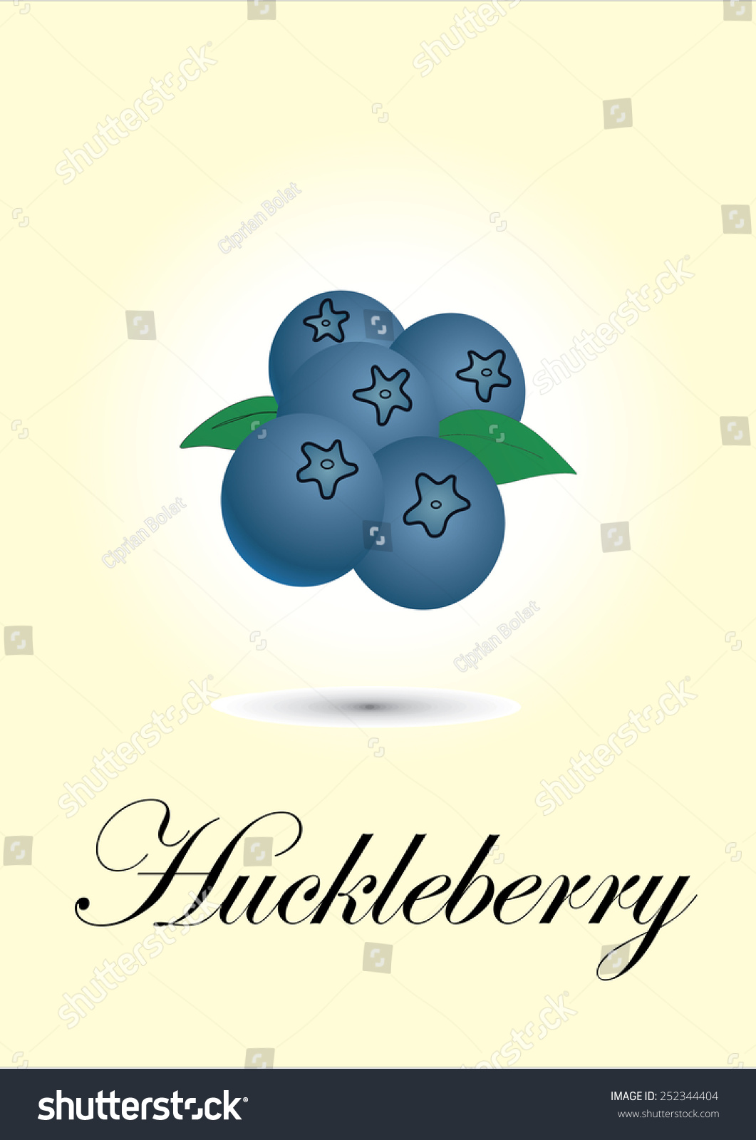 Huckleberry Chart Vector Illustration Stock Vector (Royalty Free) 252344404
