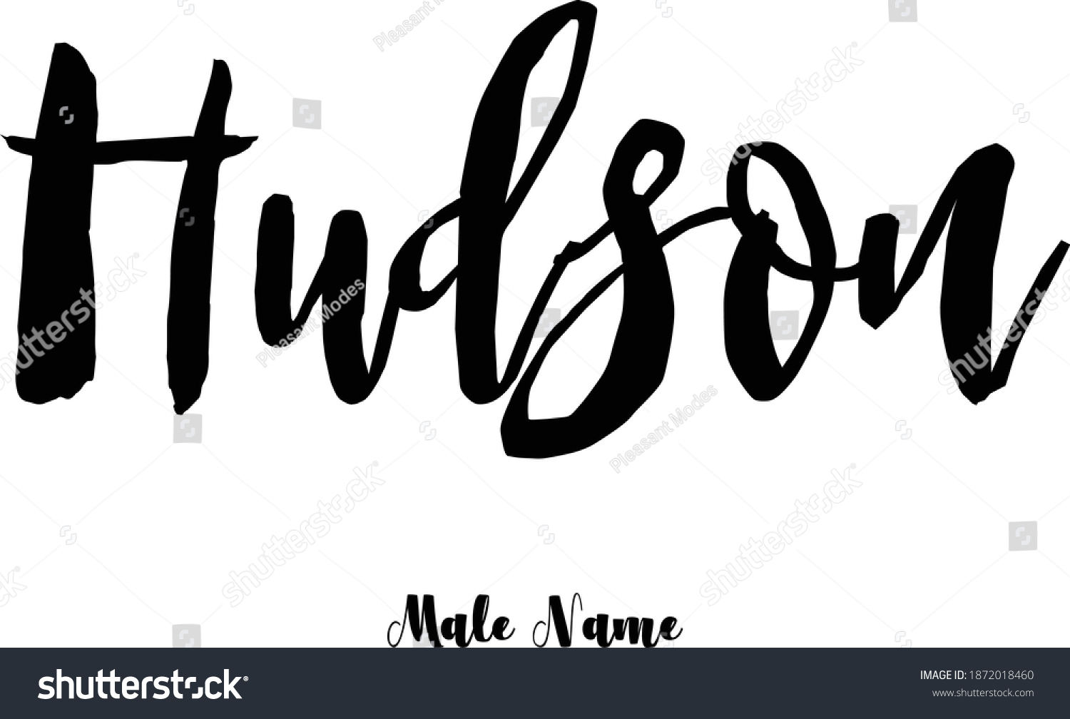 Hudsonmale Name Bold Cursive Calligraphy Typeface: เวกเตอร์สต็อก (ปลอด ...
