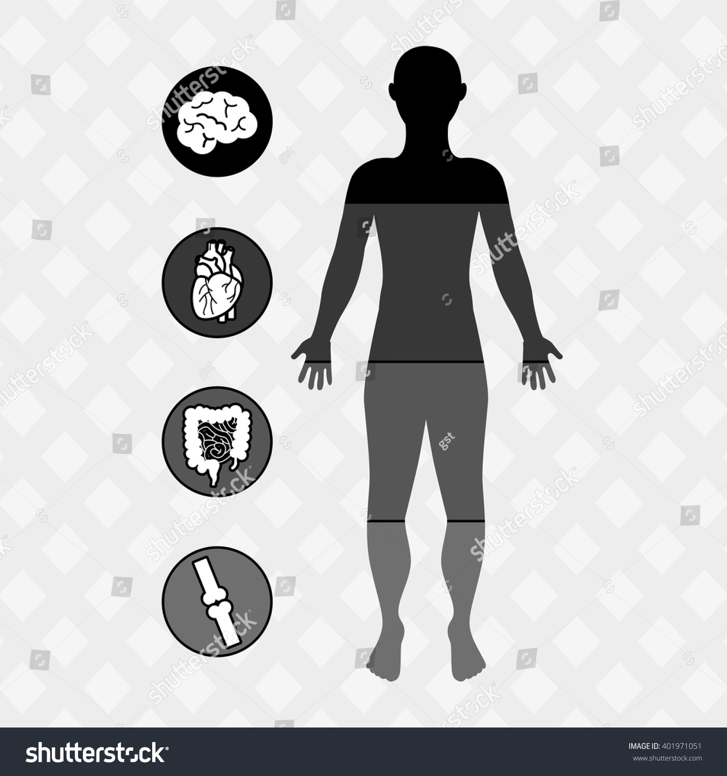 Human Anatomy Design Stock Vector (Royalty Free) 401971051 | Shutterstock