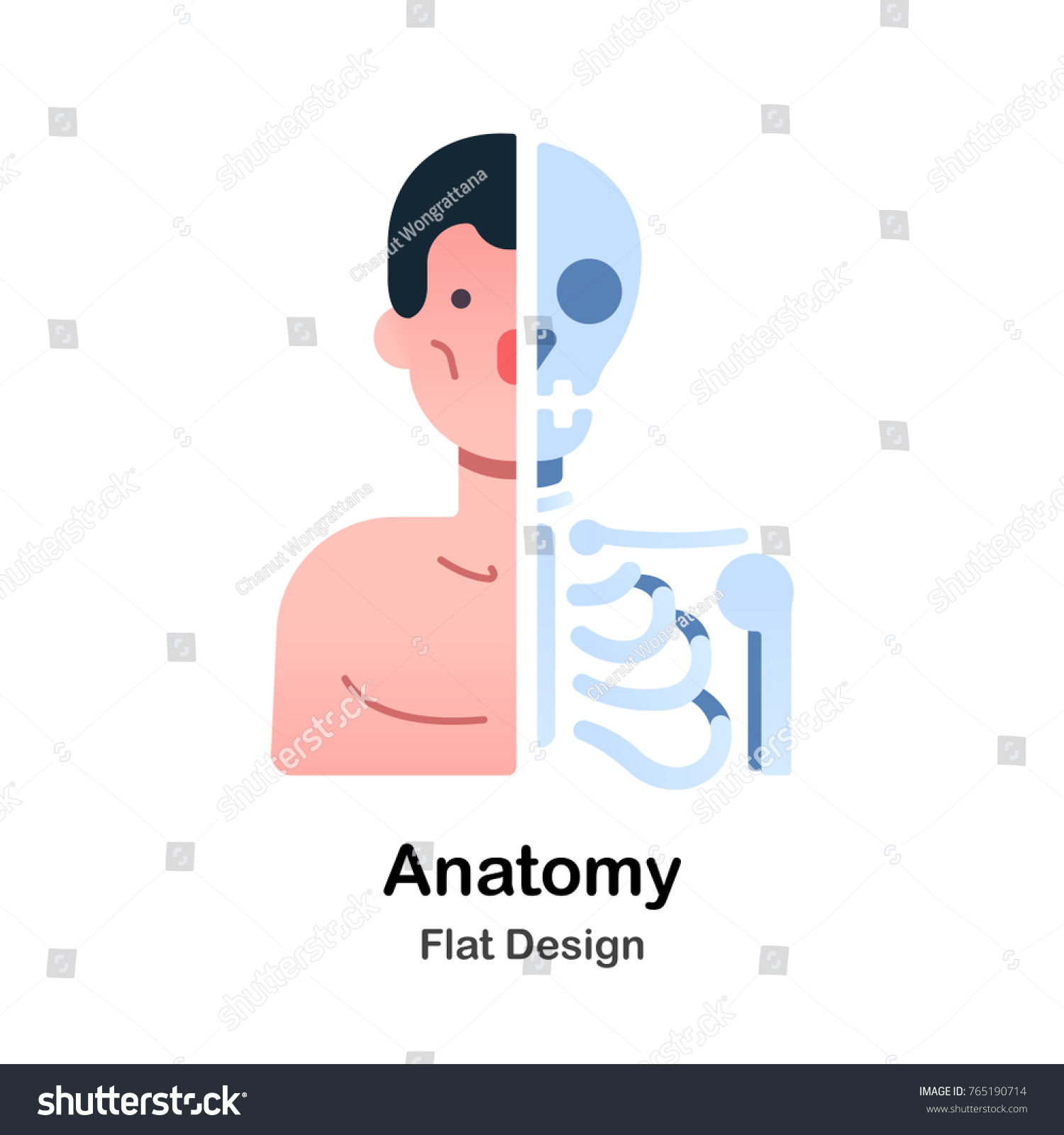 Human Anatomy Flat Vector Illustration: vector de stock (libre de ...
