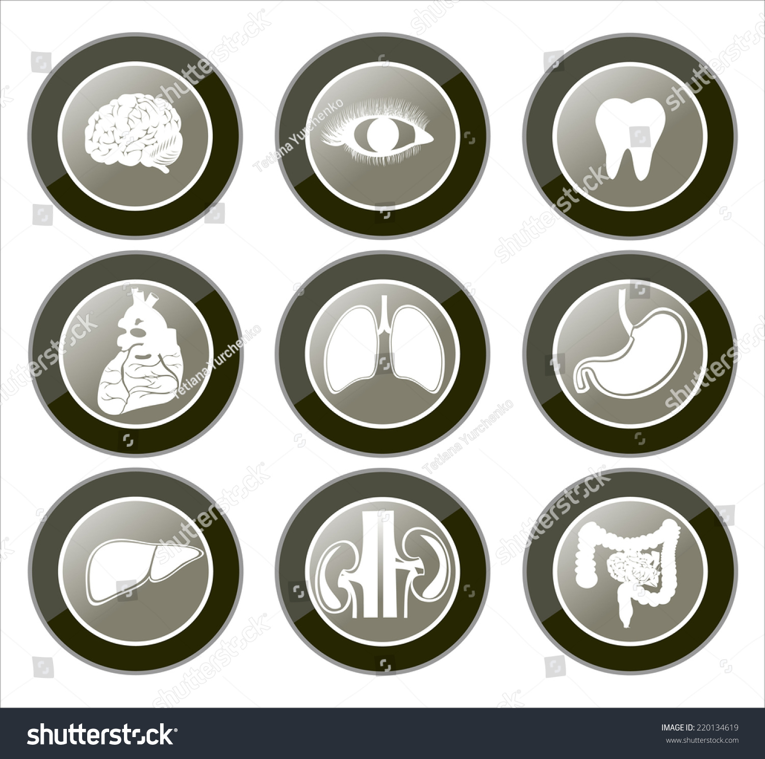 Human Anatomy Icons Stock Vector (Royalty Free) 220134619 | Shutterstock