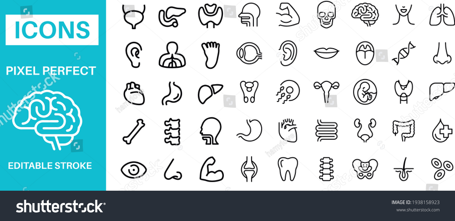 512,193 Health body icons Images, Stock Photos & Vectors | Shutterstock