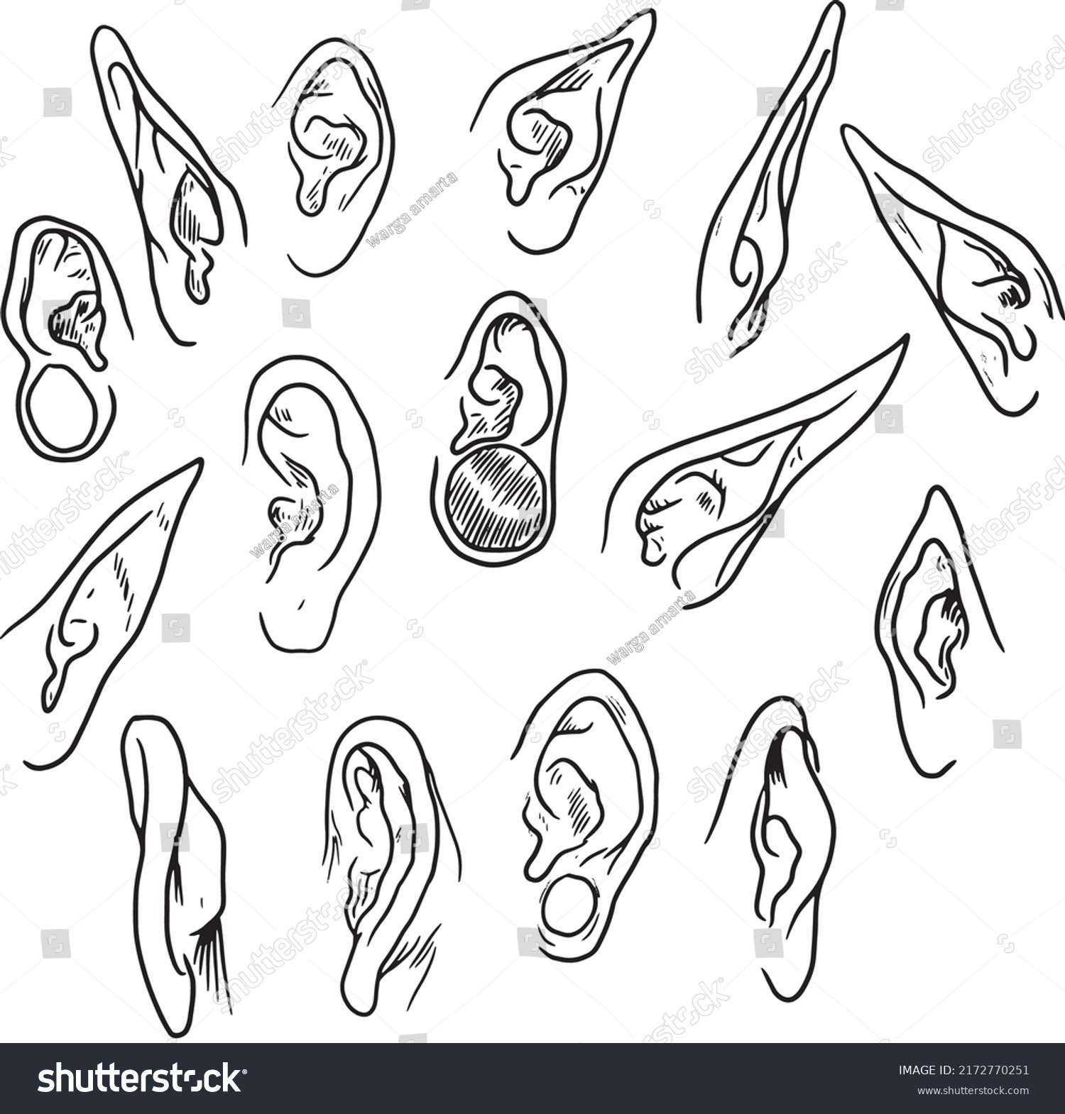 Human Anatomy Vector Simple Lines Stock Vector (Royalty Free ...