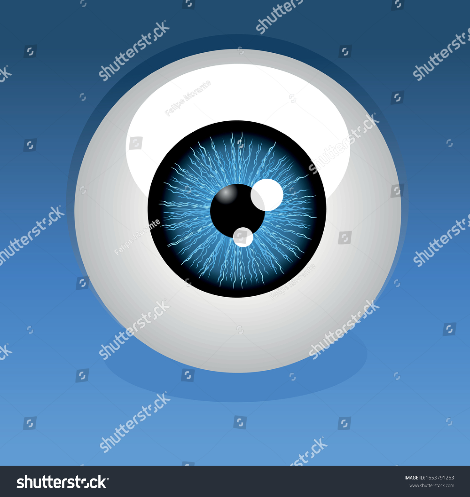 Human Blue Eyeball Vector Illustration Stock Vector (Royalty Free ...