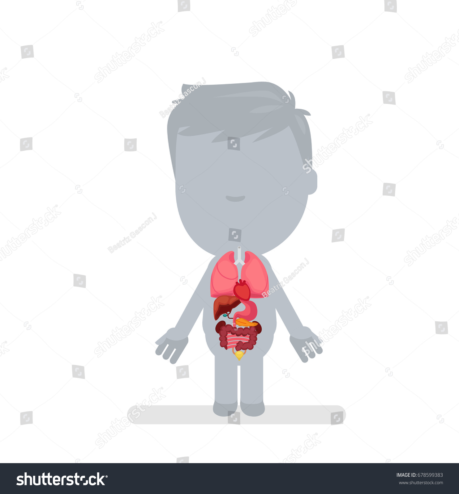Vektor Stok Human Body Anatomy Vector Illustration (Tanpa Royalti ...