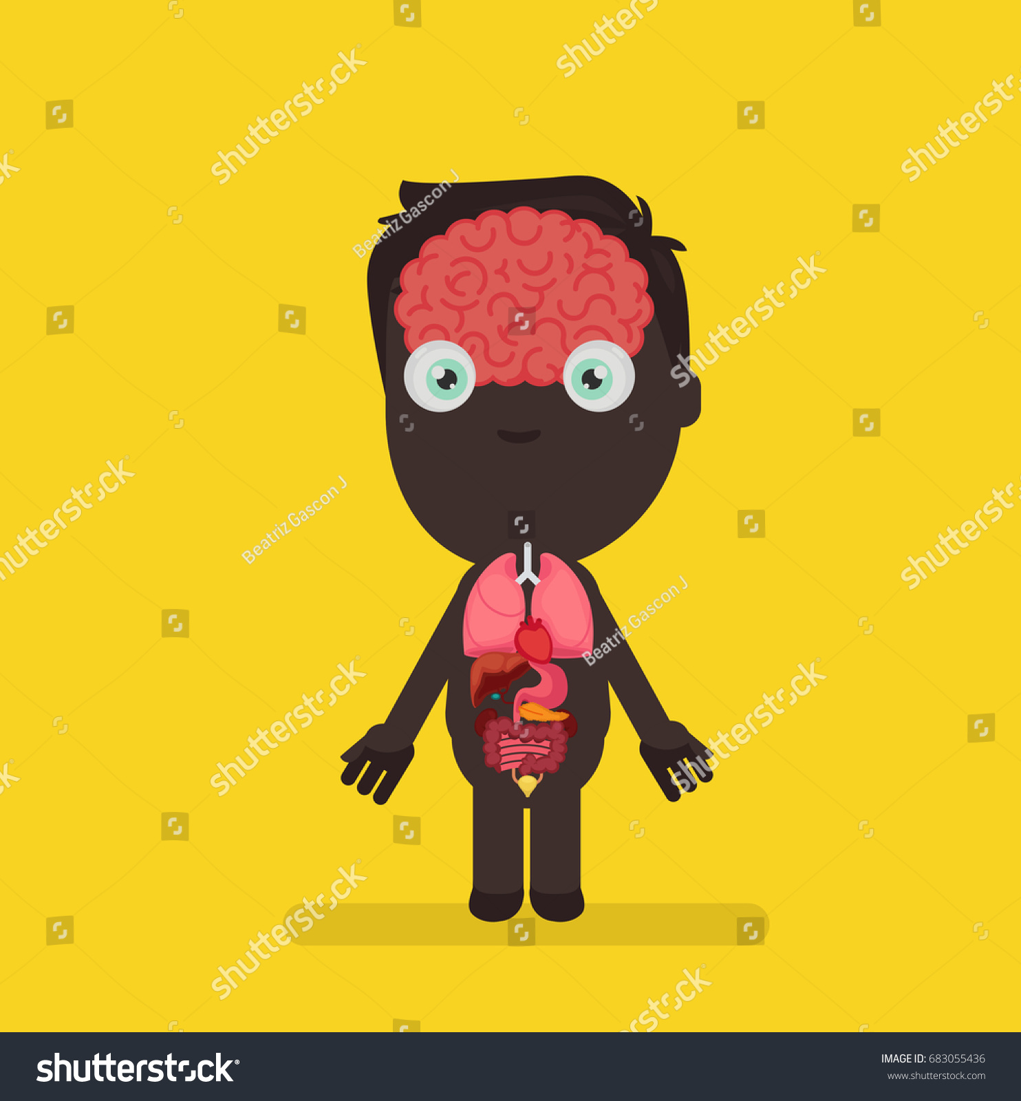 Human Body Anatomy Vector Illustration: Vector có sẵn (miễn phí bản ...