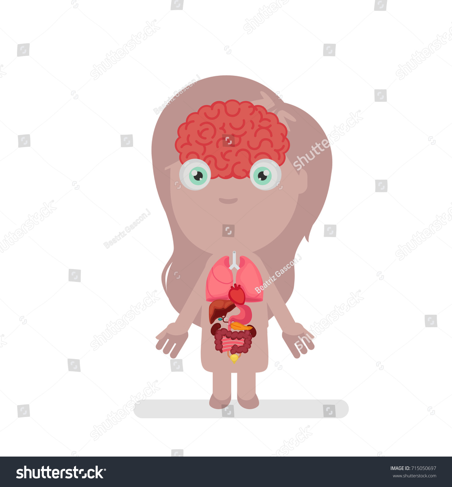 Human Body Anatomy Vector Illustration: เวกเตอร์สต็อก (ปลอดค่าลิขสิทธิ์ ...