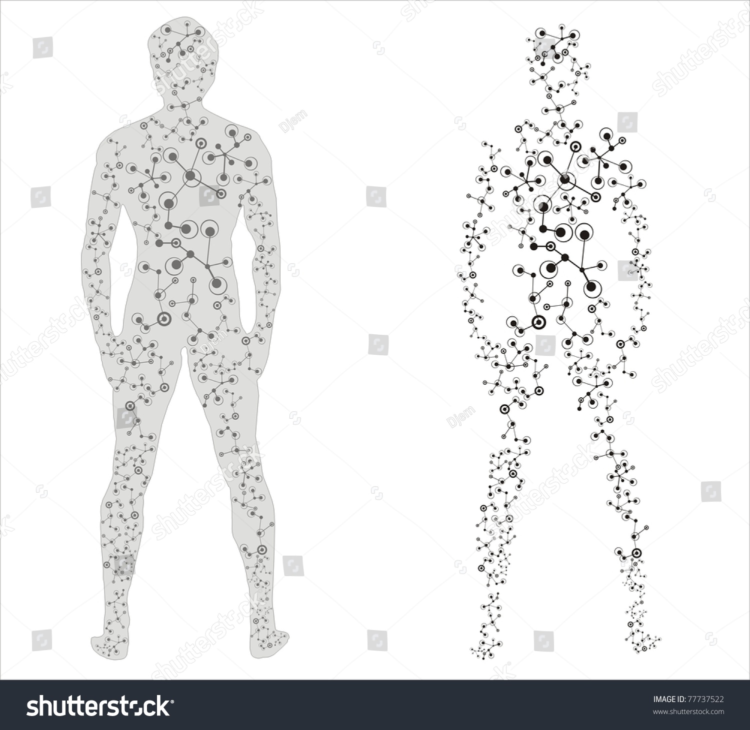 Human Body Scientific Presentation Stock Vector 77737522 - Shutterstock