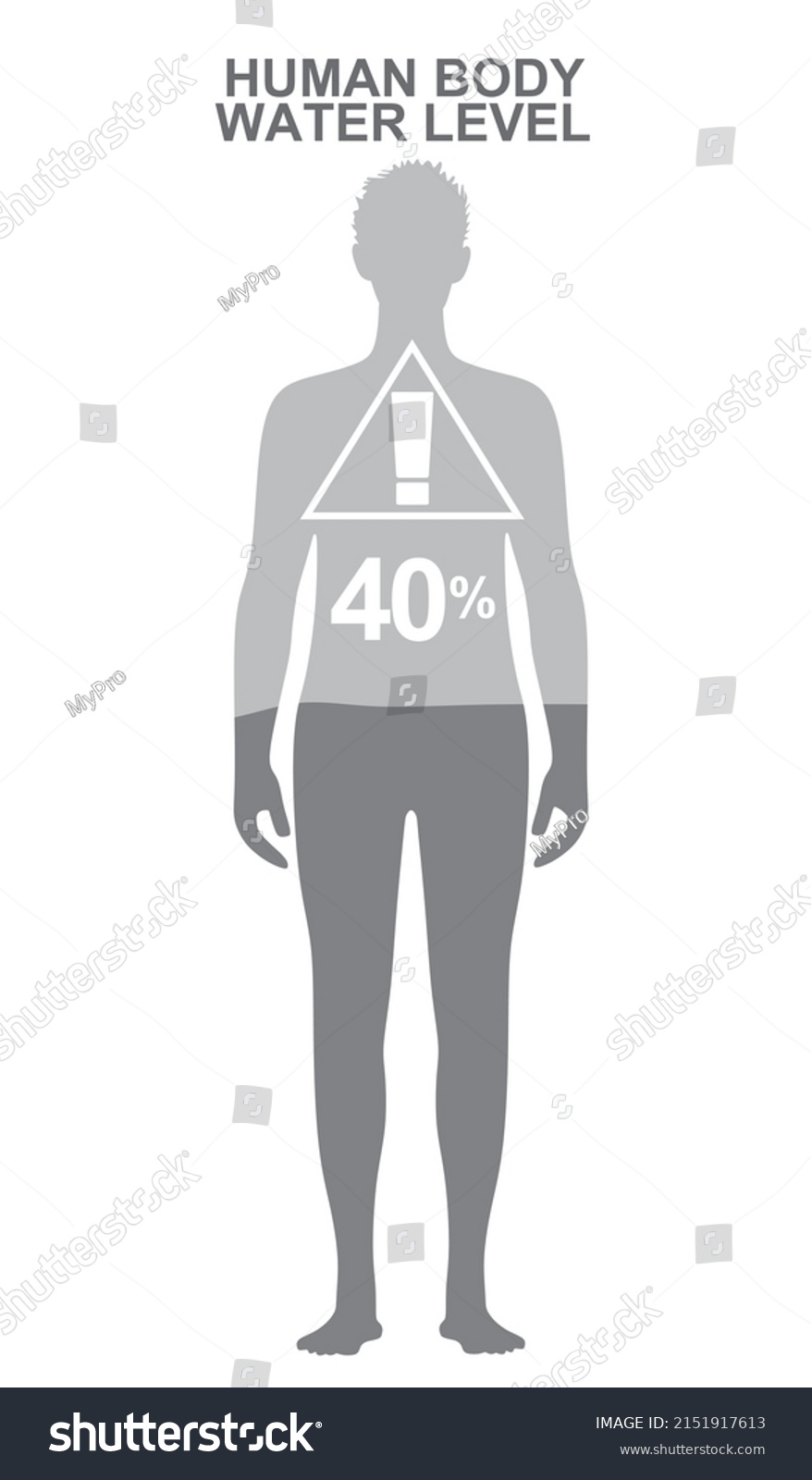 Human Body Water Level Vector Stock Vector (Royalty Free) 2151917613 ...