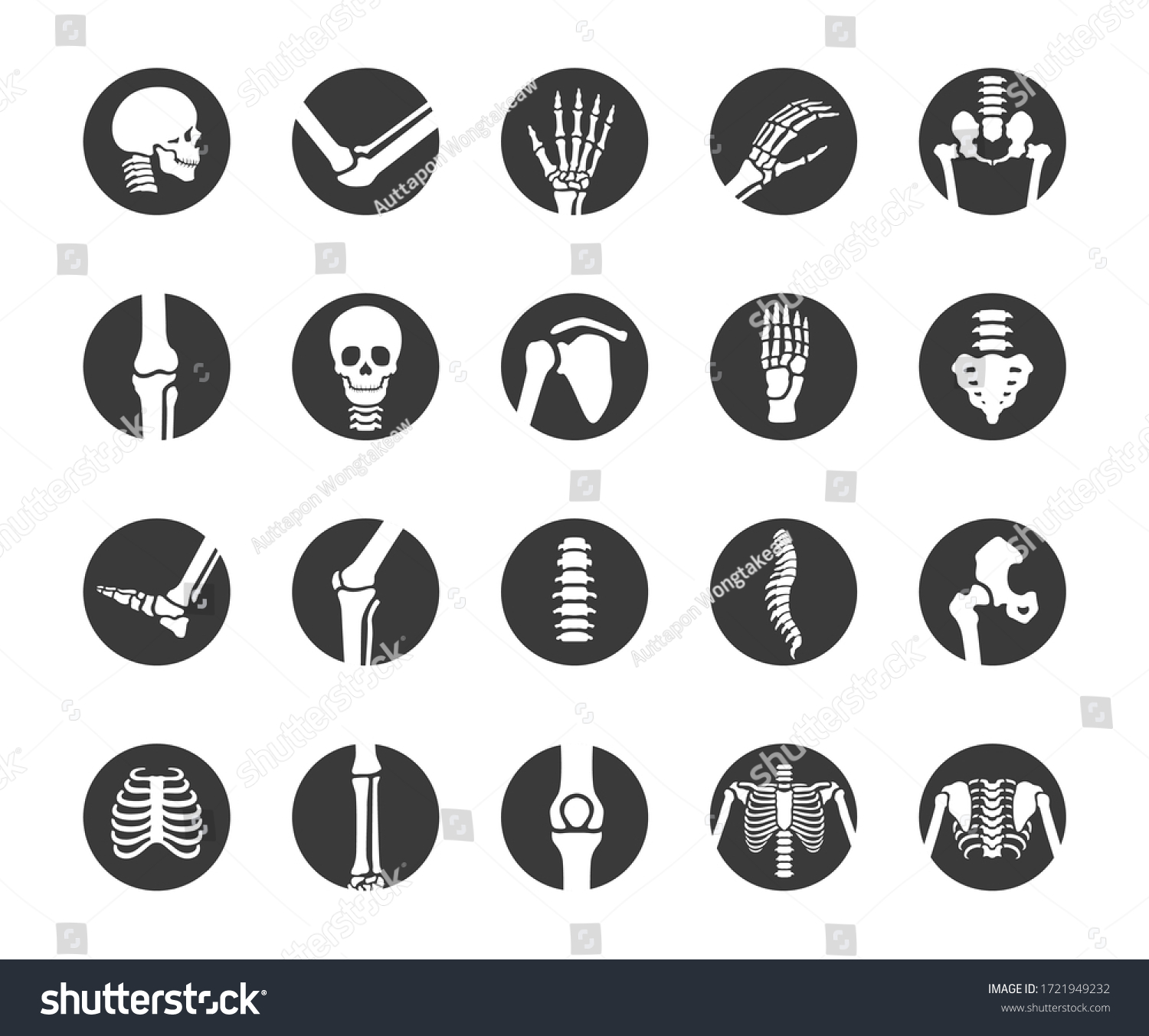 Human Bone Joint Icon Set Simple Stock Vector (Royalty Free) 1721949232 ...