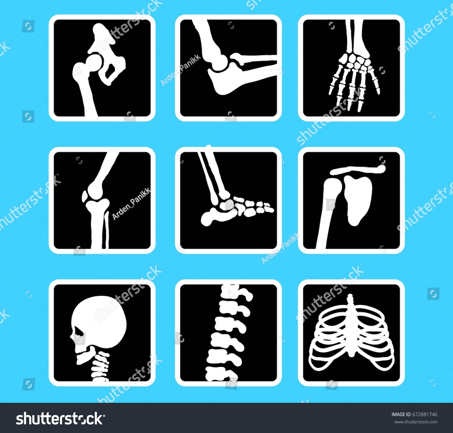 Human Bone Vector Drawn Icon Set: เวกเตอร์สต็อก (ปลอดค่าลิขสิทธิ์ ...