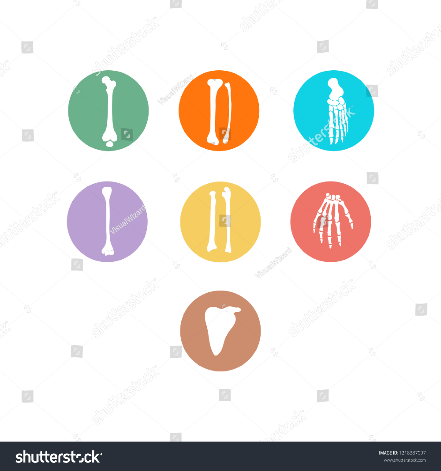 Human Bones Icon Set Stock Vector (Royalty Free) 1218387097
