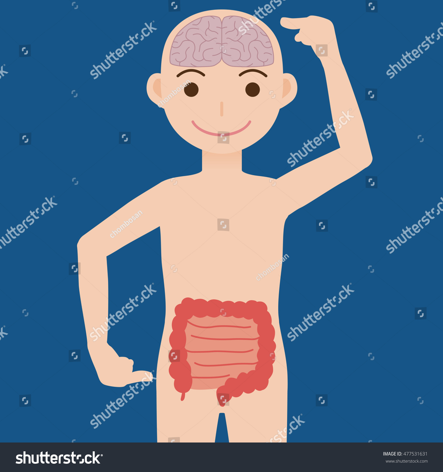Human Brain Guts Second Brain Vector: стоковая векторная графика (без ...
