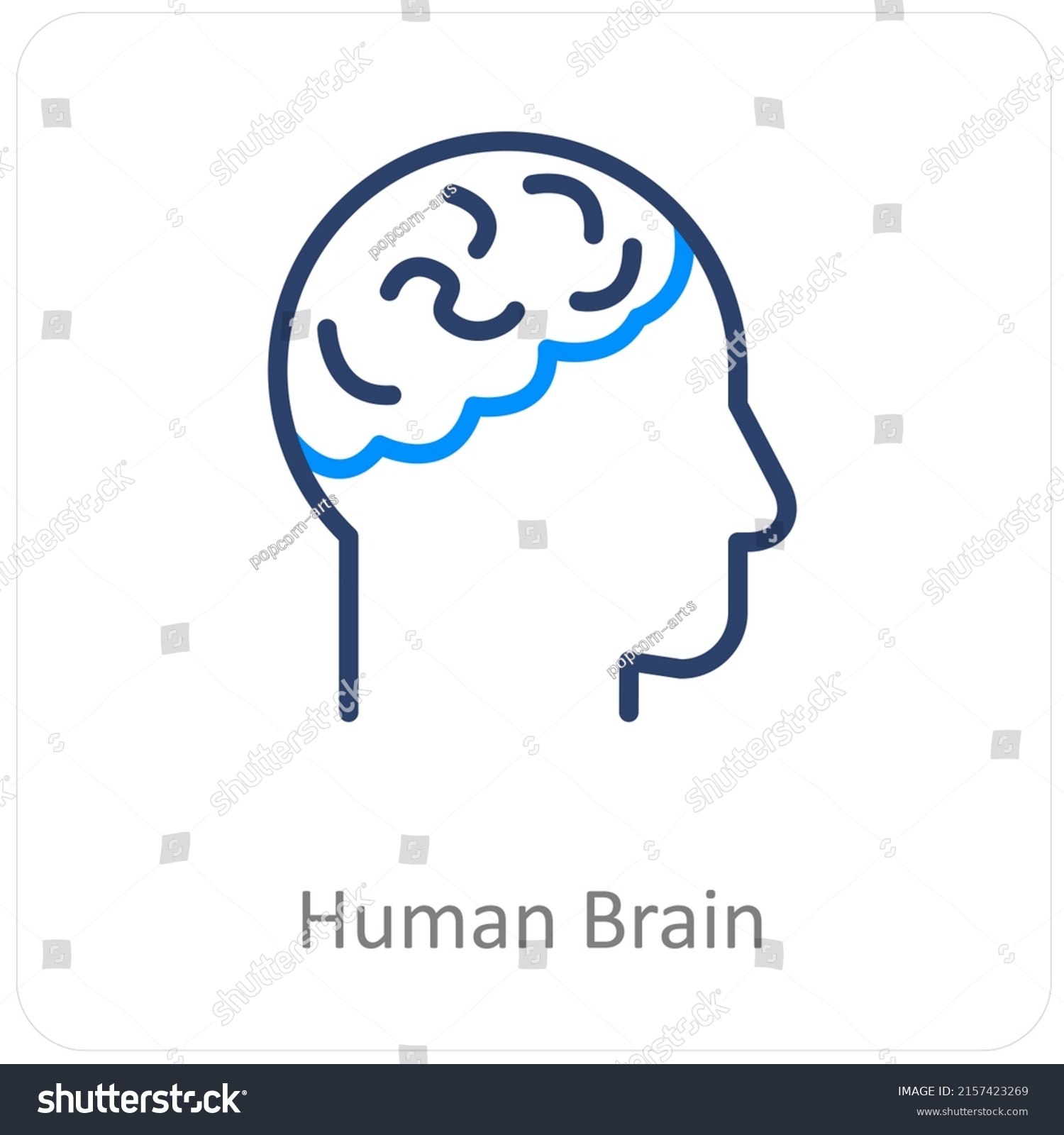 Human Brain Mind Icon Concept Stock Vector (Royalty Free) 2157423269 ...