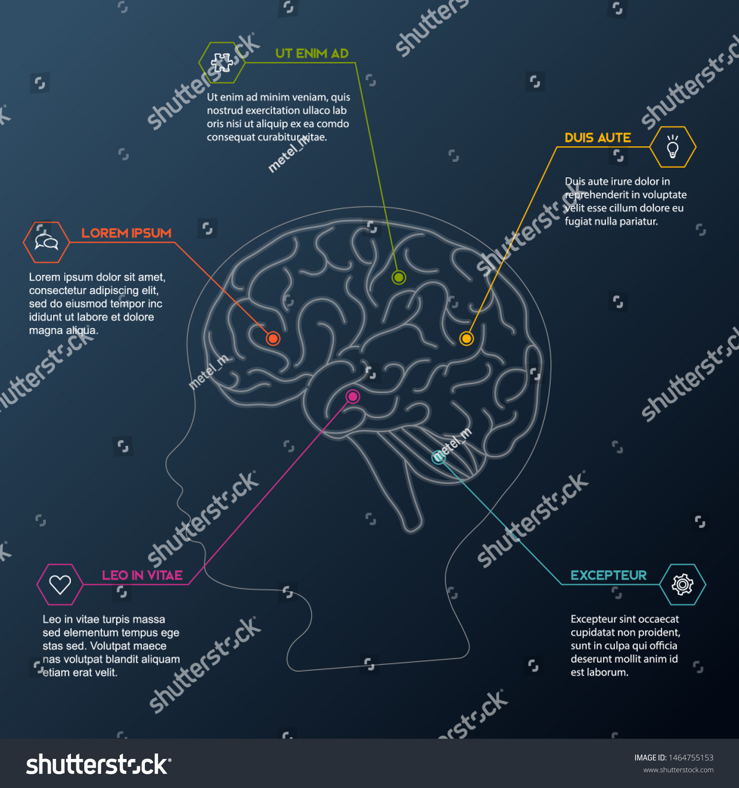 Human Brain Brain Zone Diagram: vector de stock (libre de regalías ...