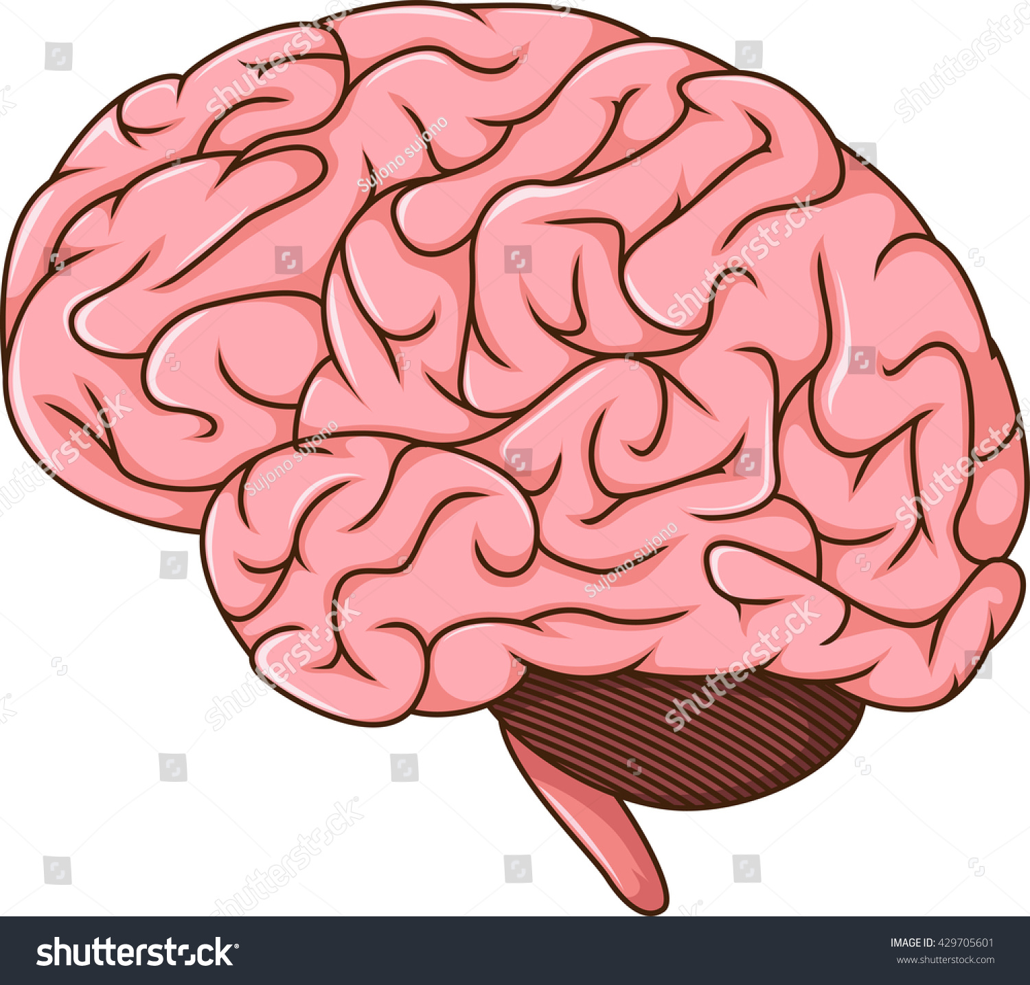 Human Brain Cartoon: เวกเตอร์สต็อก (ปลอดค่าลิขสิทธิ์) 429705601
