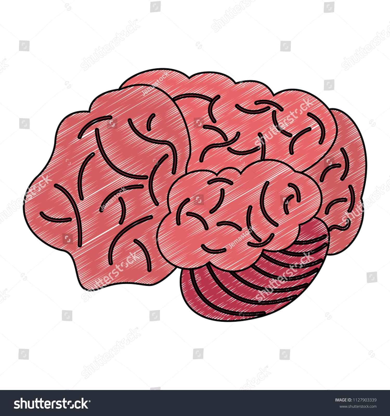 Human Brain Cartoon Scribble Stock Vector (Royalty Free) 1127903339 ...