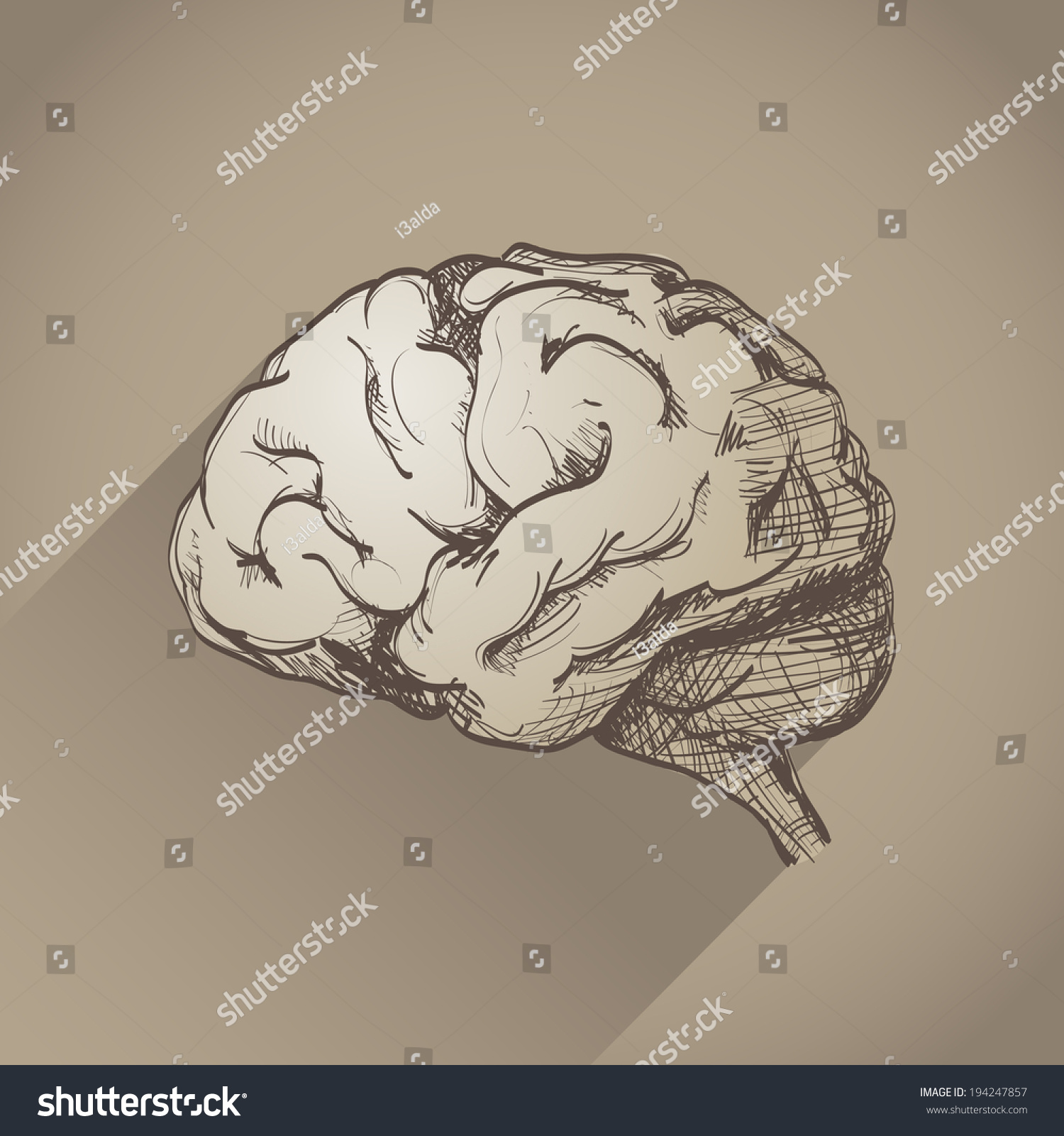 Human Brain Casting Shadow Illustration: vector de stock (libre de ...