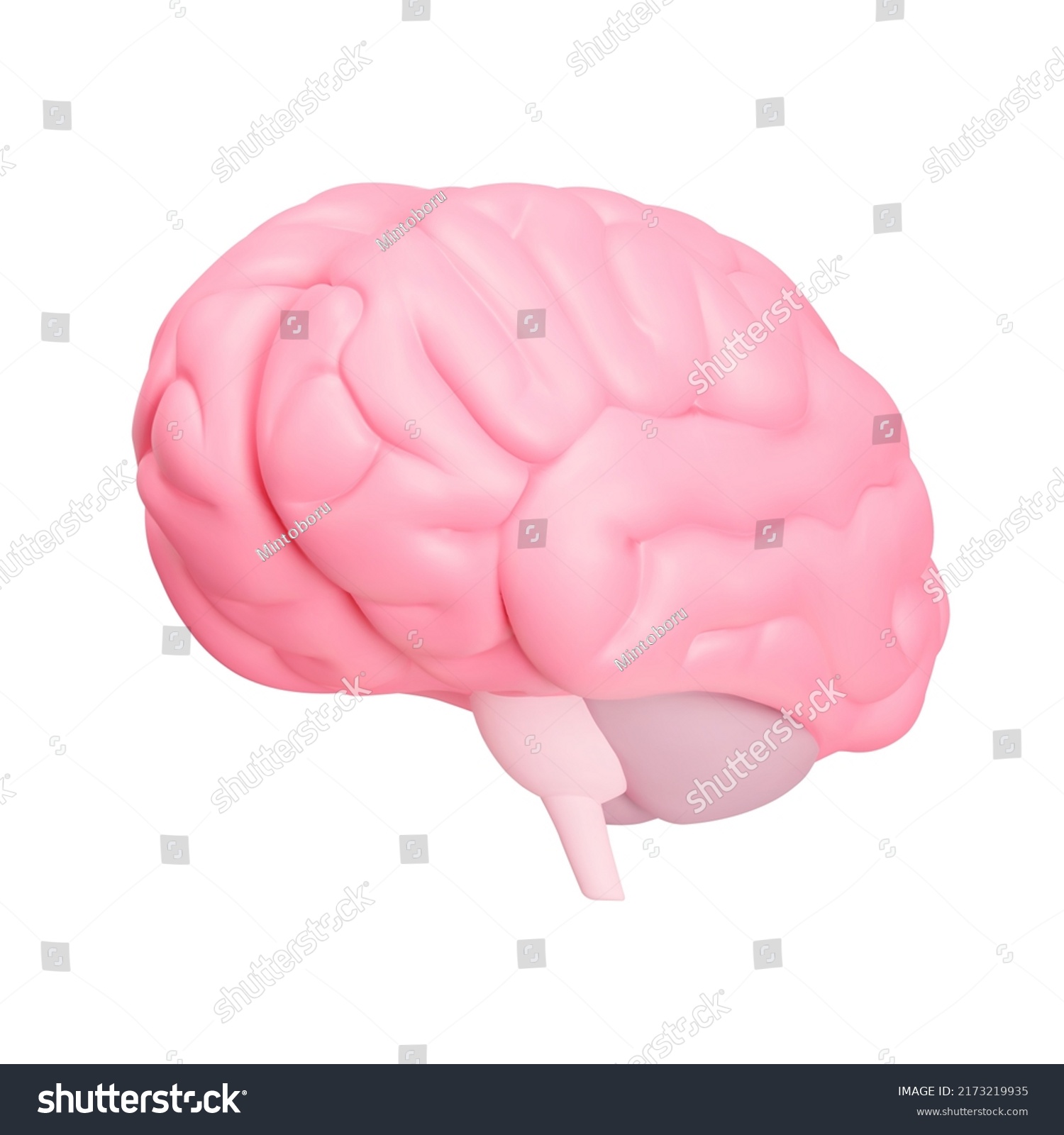 Human Brain 3d Icon Isolated Object Stock Vector (Royalty Free ...