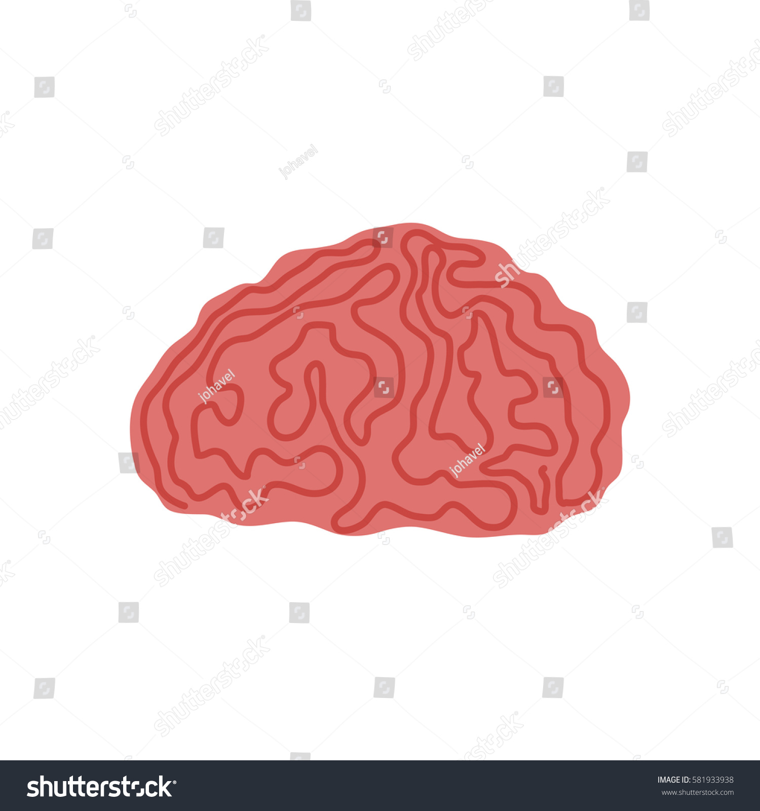 Human Brain Intelligence Icon Vector Illustration: Vector có sẵn (miễn ...