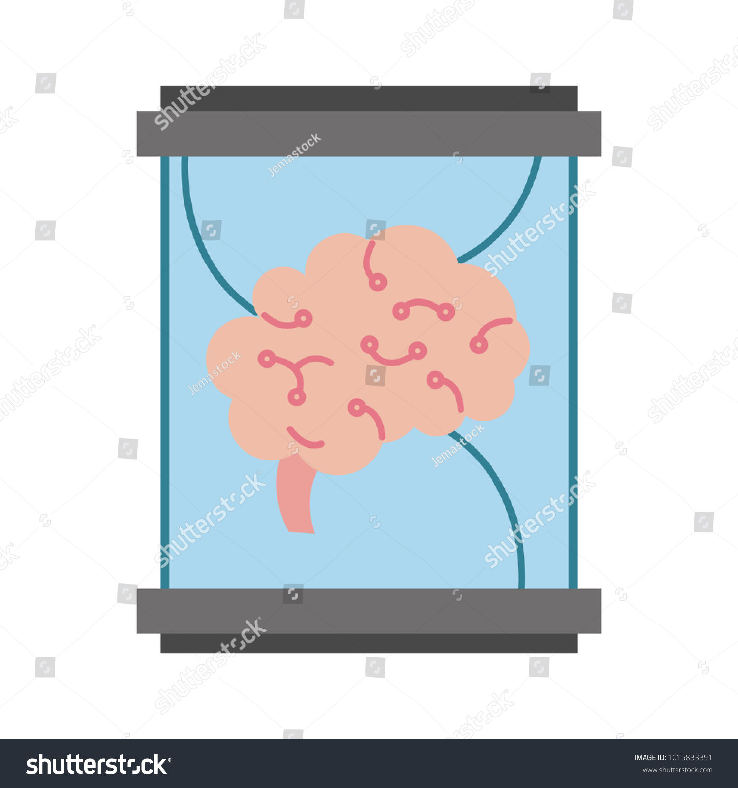 Human Brain Into Glass Container Stock Vector (Royalty Free) 1015833391 ...